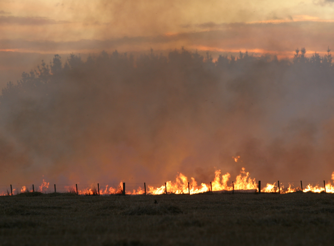Fire Danger Period - 99.5 & 99.9 Gippsland's TRFM